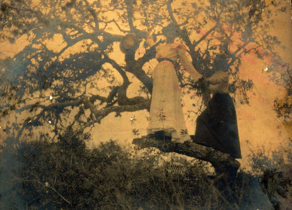 The Servant Girl Murders Austin, Texas 1885